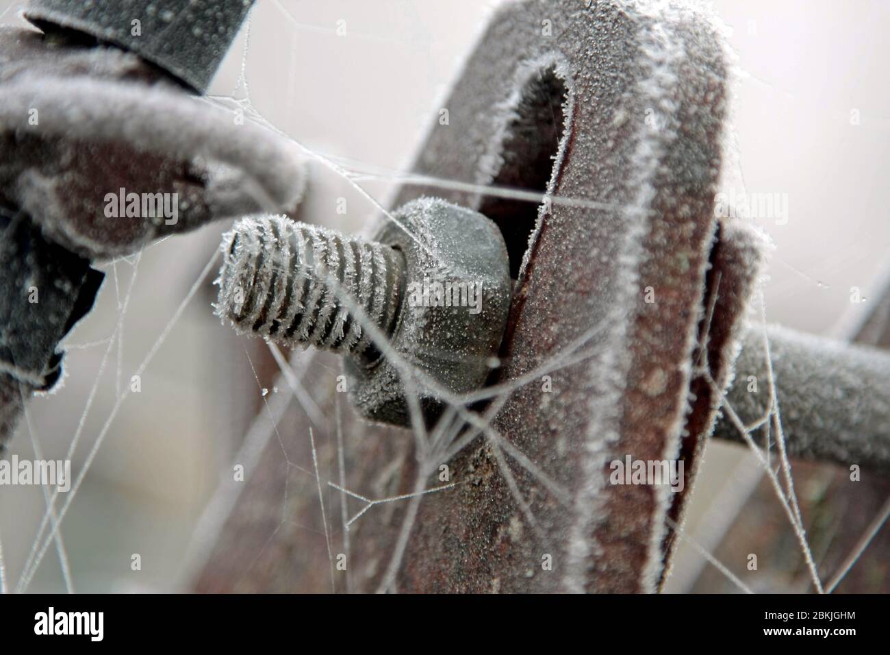 Intense cold hi-res stock photography and images - Alamy