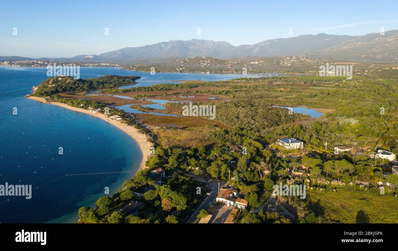 France, Corse du Sud, Gulf of Porto Vecchio, Lecci, pointe di Benedettu ...