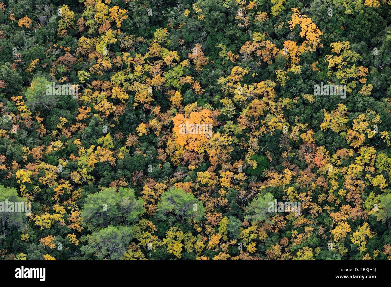 Signes hi-res stock photography and images - Alamy