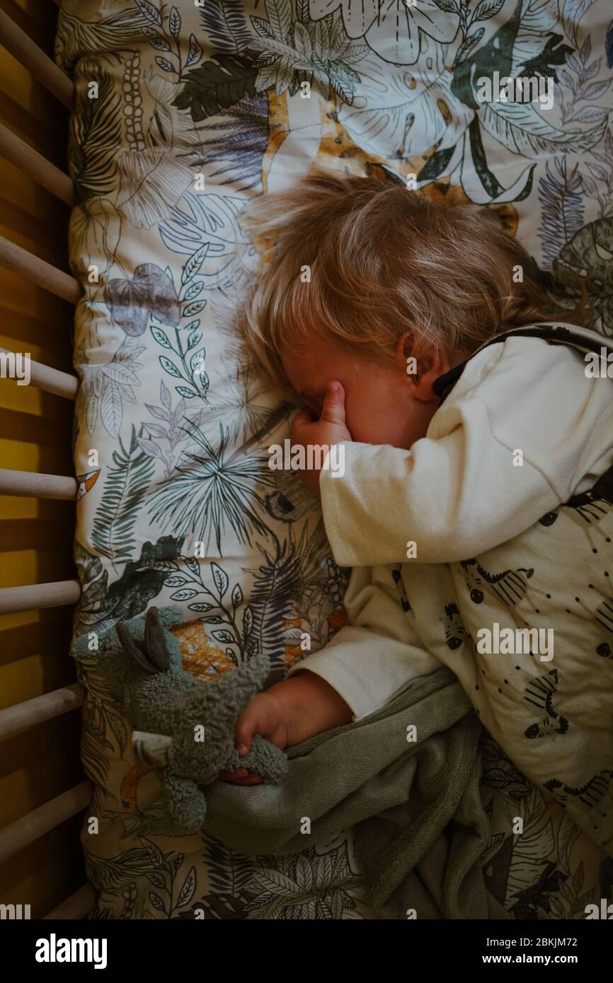 Toddler sleeping in his cot Stock Photo - Alamy