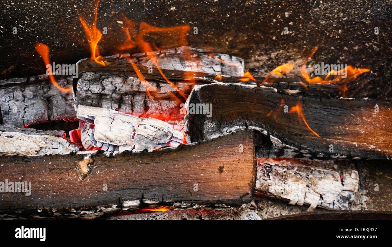 Burning wood in a bonfire, flames and ashes of a bonfire Stock Photo ...