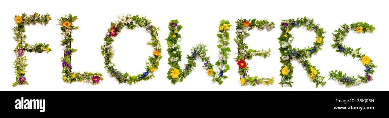 Flower And Blossom Letter Building Word Flowers Stock Photo - Alamy