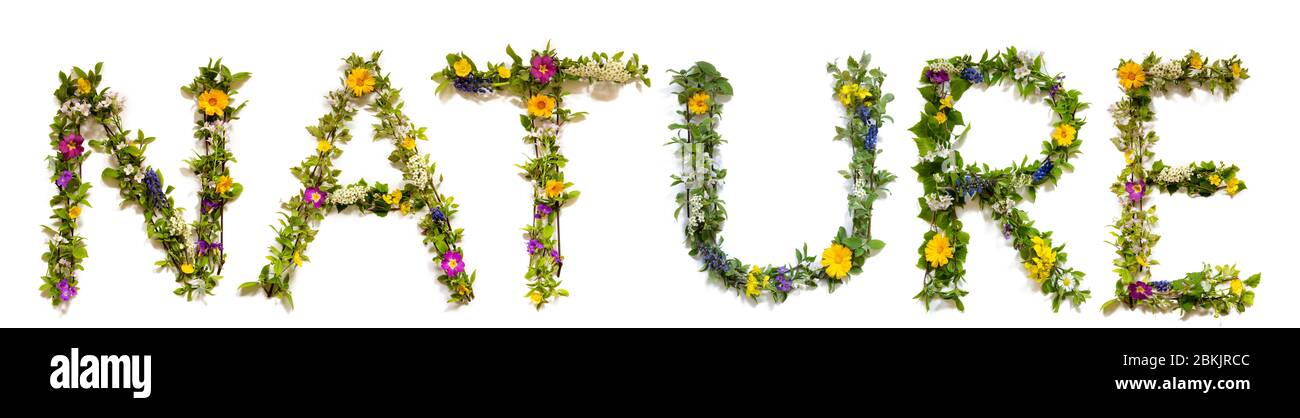 Flower And Blossom Letter Building Word Nature Stock Photo - Alamy