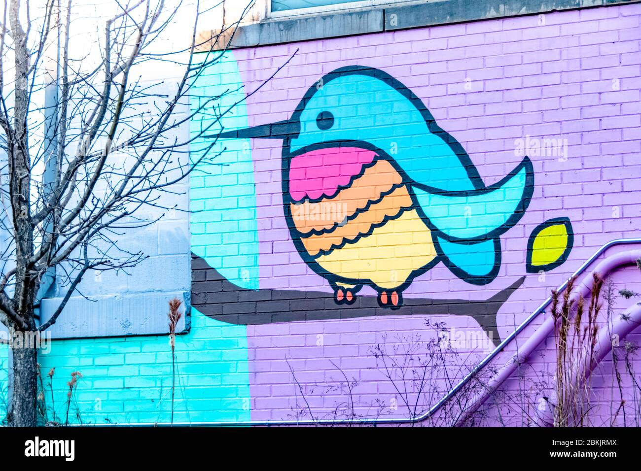 Graffiti bird hi-res stock photography and images - Alamy