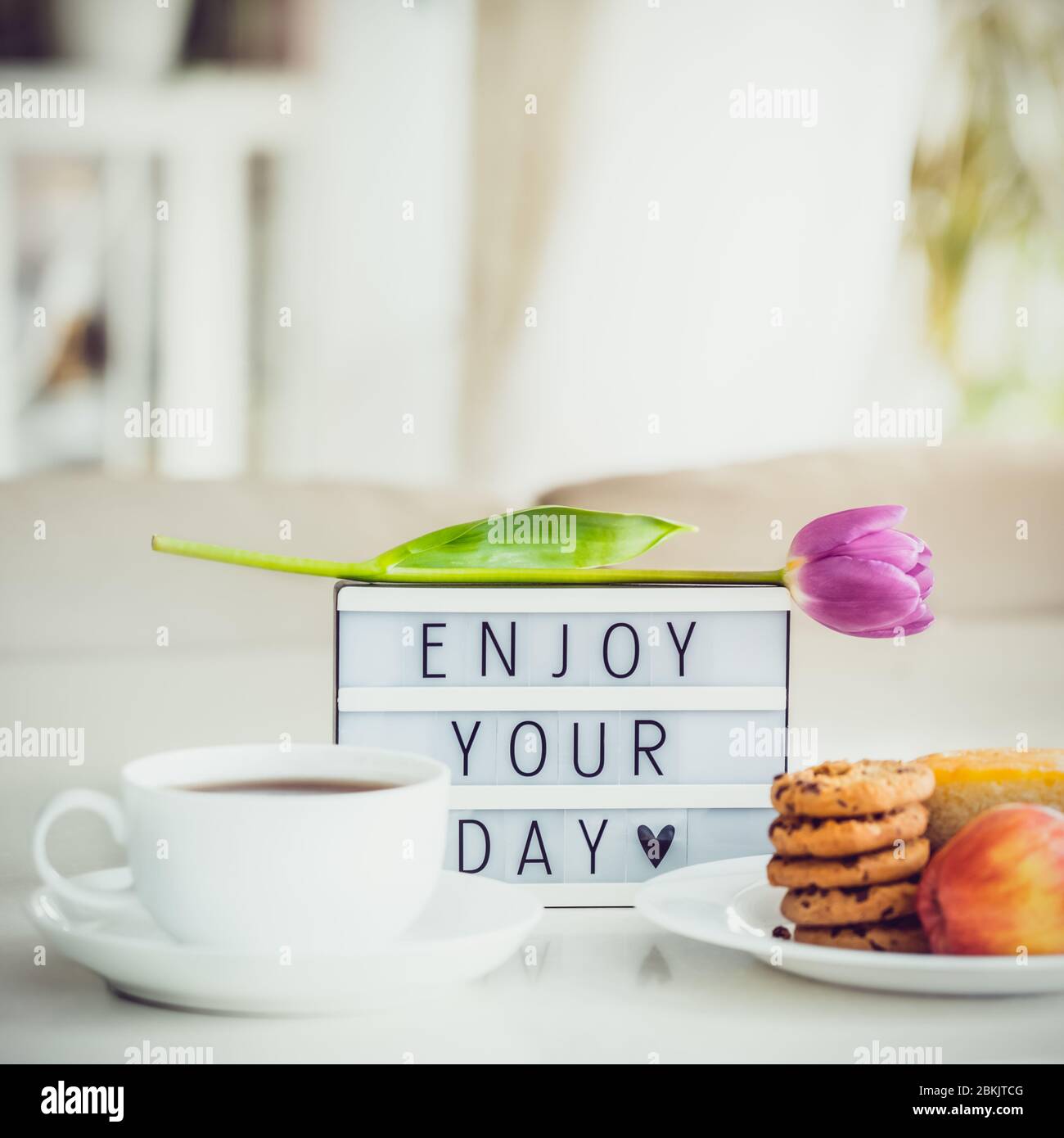 Good Morning Photography