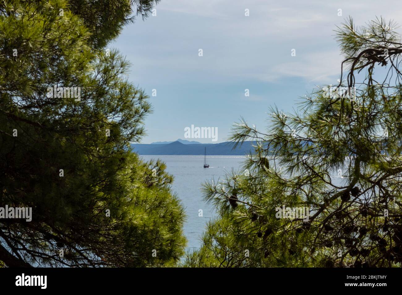 Dalm hi-res stock photography and images - Alamy