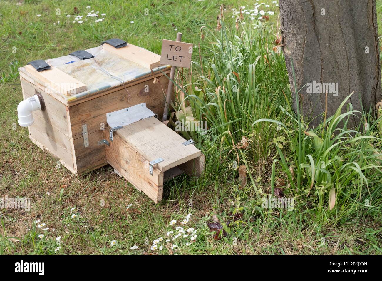 Hedgehog Box High Resolution Stock Photography and Images - Alamy
