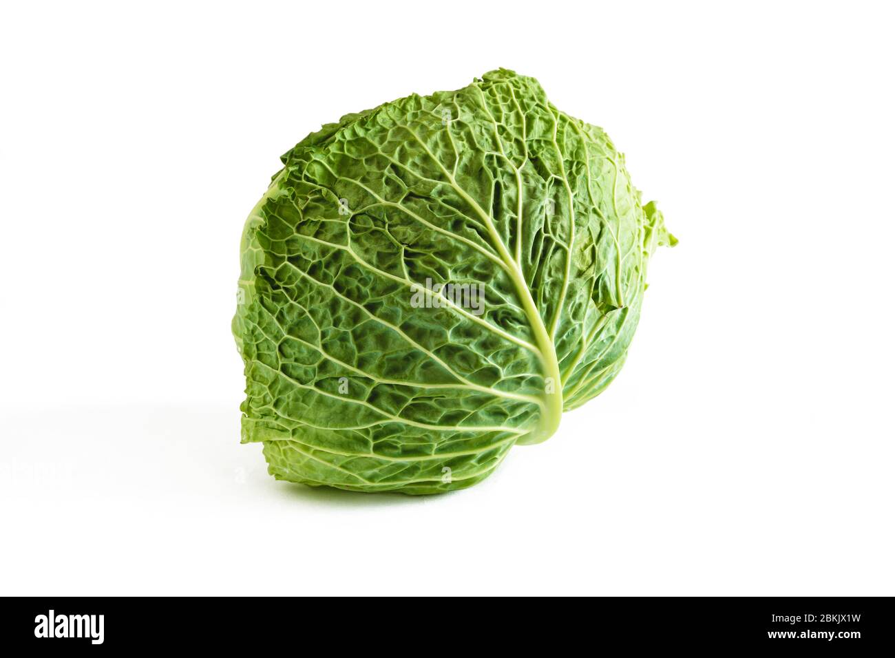 Cabbage white early hi-res stock photography and images - Alamy