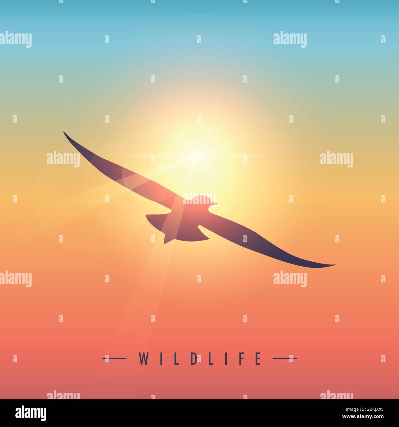 wildlife gull bird in sunny colorful sky vector illustration EPS10 ...