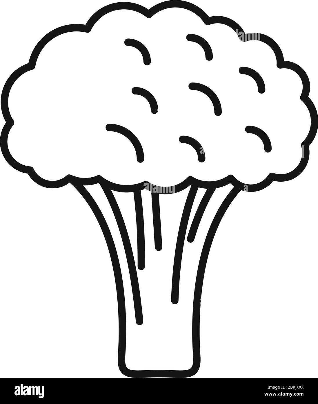 Fresh broccoli icon. Outline fresh broccoli vector icon for web design ...