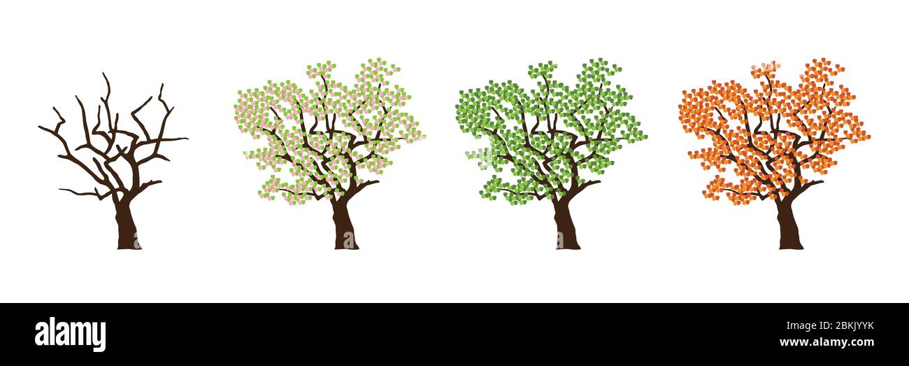 tree four seasons winter spring summer autumn vector illustration EPS10 ...