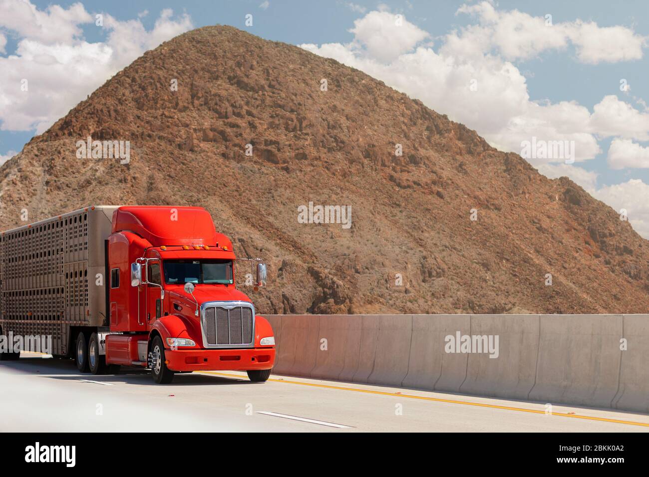Truck with a trailer for transporting animals on the highway against ...