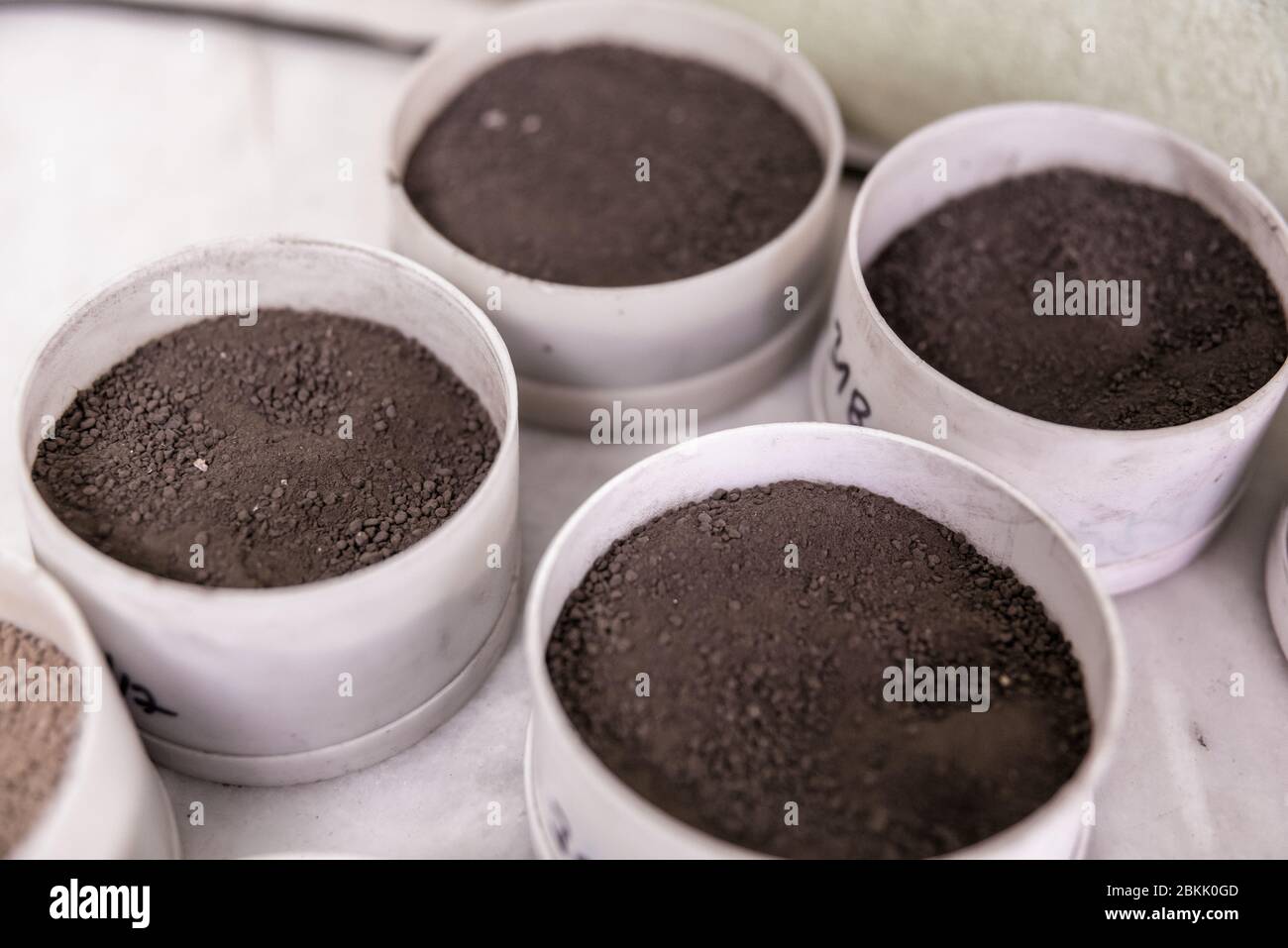 testing of different soil samples in the agricultural laboratory Stock ...