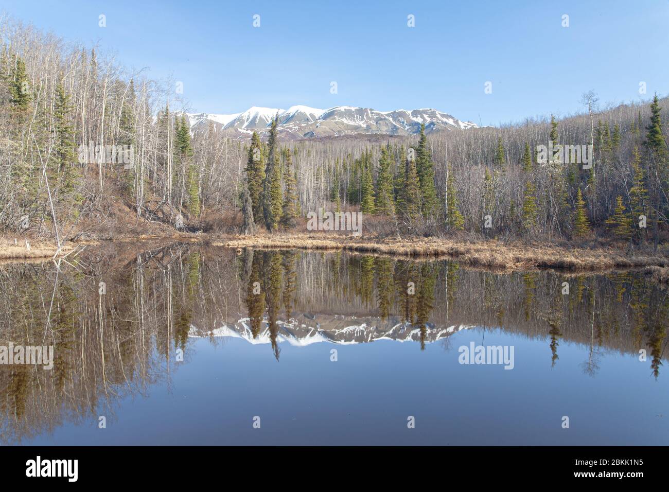 Brett cohen hi-res stock photography and images - Alamy