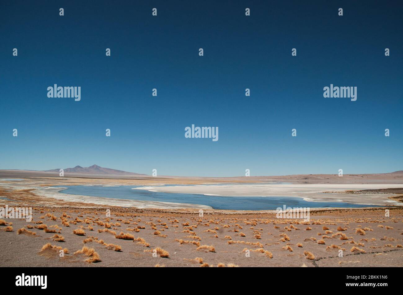 Lake in Atacama desert in Chile Stock Photo - Alamy