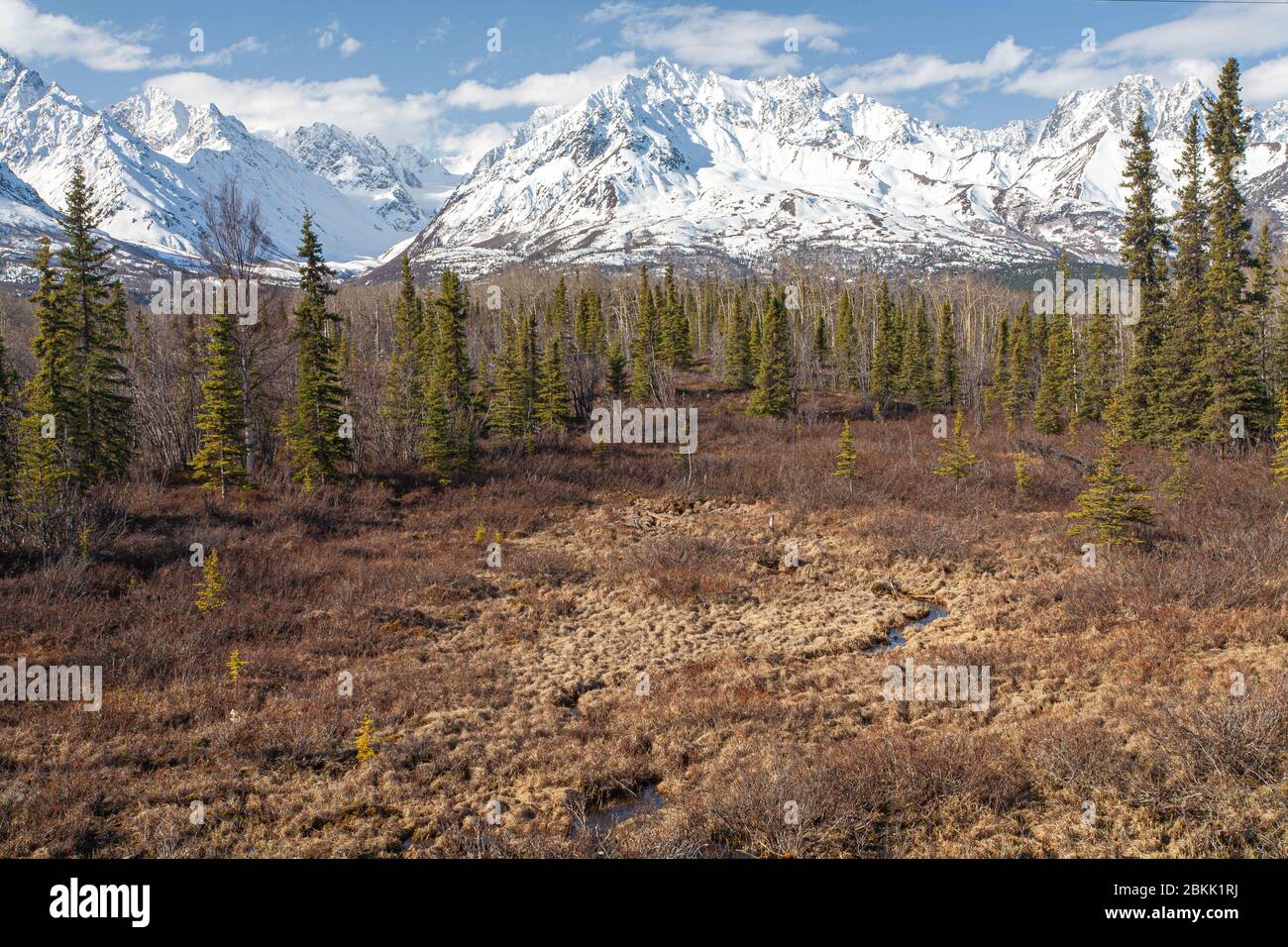 Brett cohen hi-res stock photography and images - Alamy