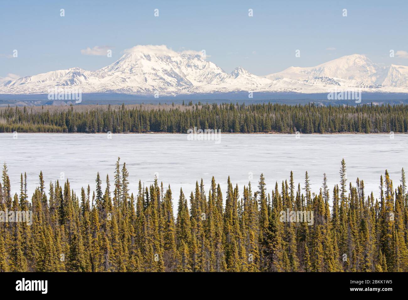 Brett cohen hi-res stock photography and images - Alamy