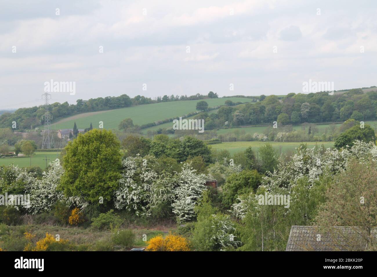 English wilderness hi-res stock photography and images - Alamy