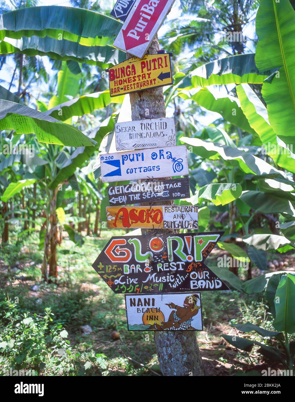 Bungalow and restaurant signs on palm tree, Sanur, Bali, Republic of ...