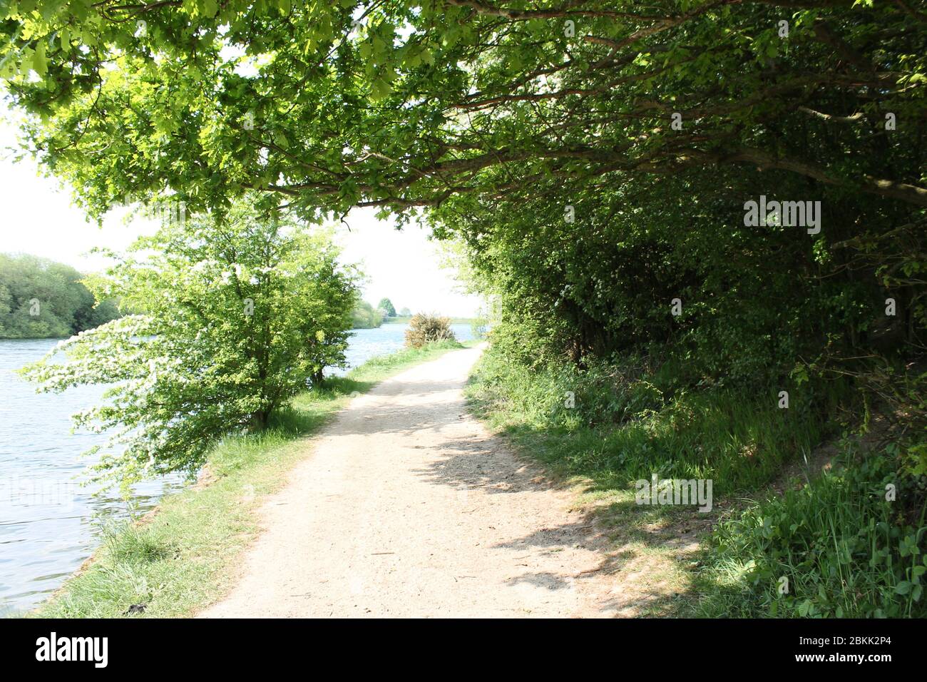 English wilderness hi-res stock photography and images - Alamy