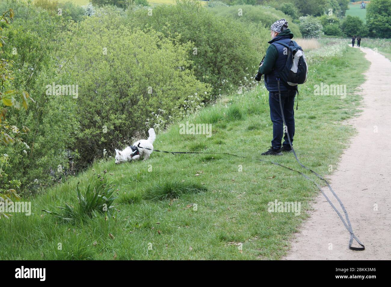 English wilderness hi-res stock photography and images - Alamy