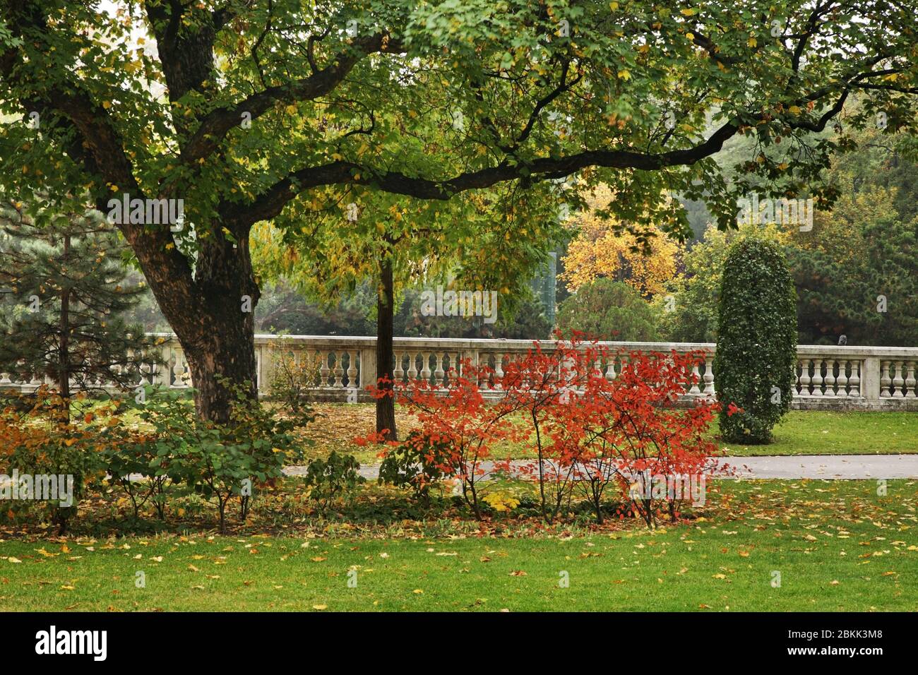 Stadtpark in Vienna. Austria Stock Photo - Alamy