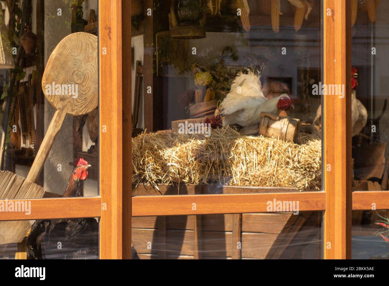 Hens and rooster on a hay in a cart outside the window of a village ...