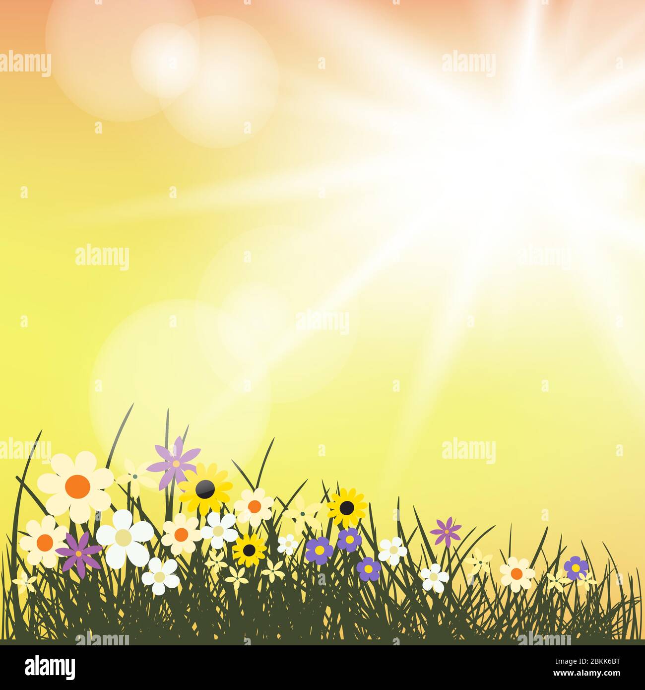 White flowers in morning Stock Vector Images - Alamy