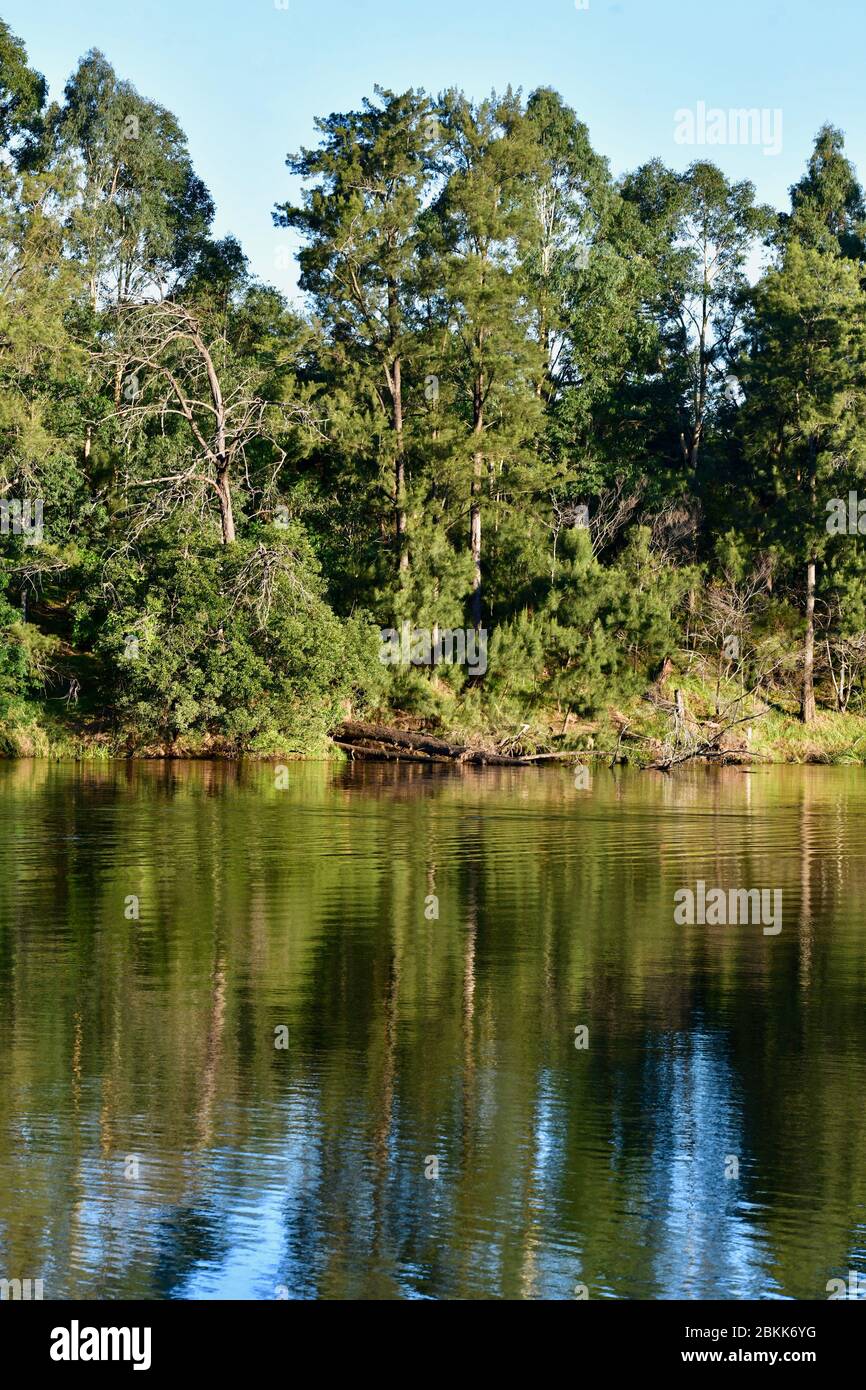 A section of the Nepean River at Penrith in Sydney's west Stock Photo ...