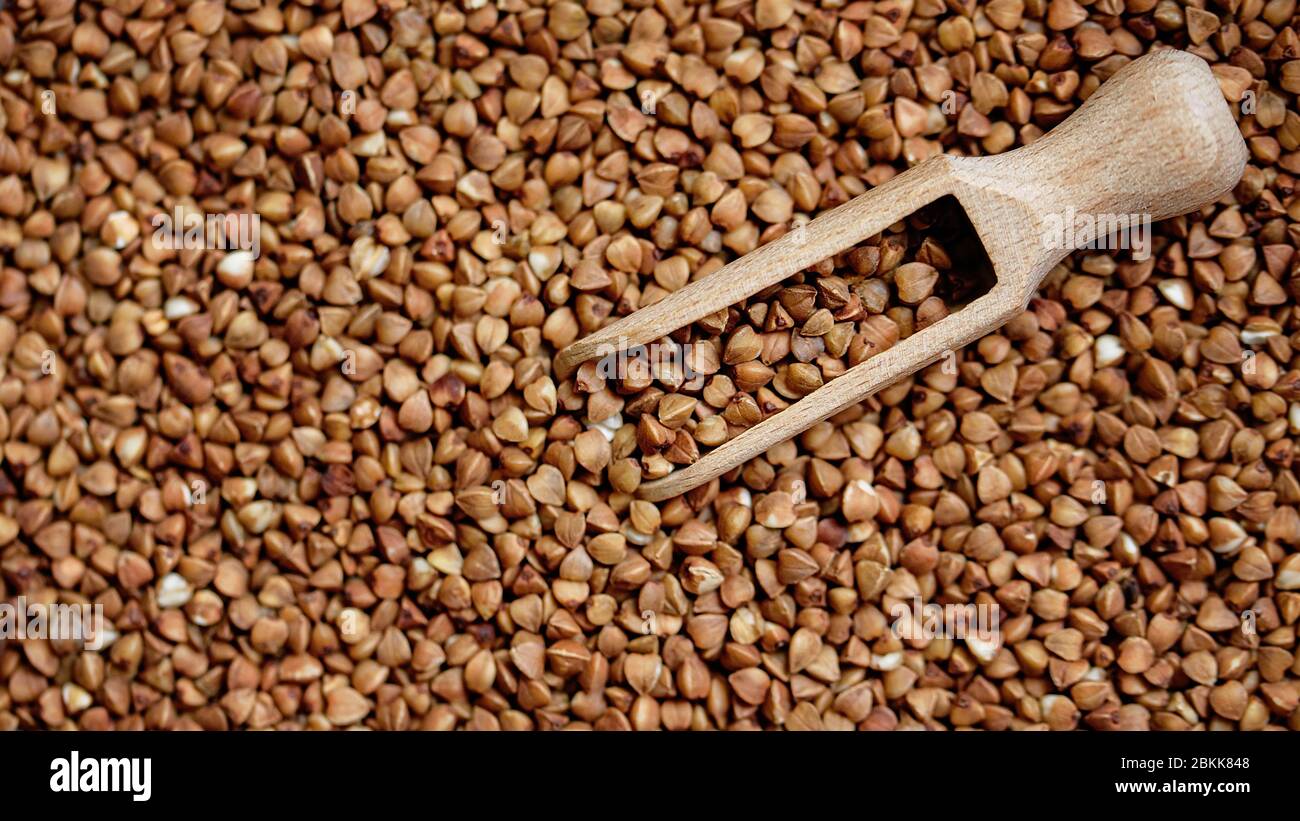 Organic uncooked Scattered buckwheat grain texture background. Healthy ...