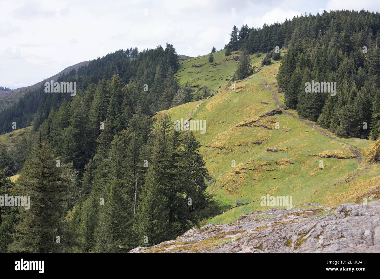 A hiking trail at Horse Rock Ridge near Crawfordsville, Oregon, USA ...