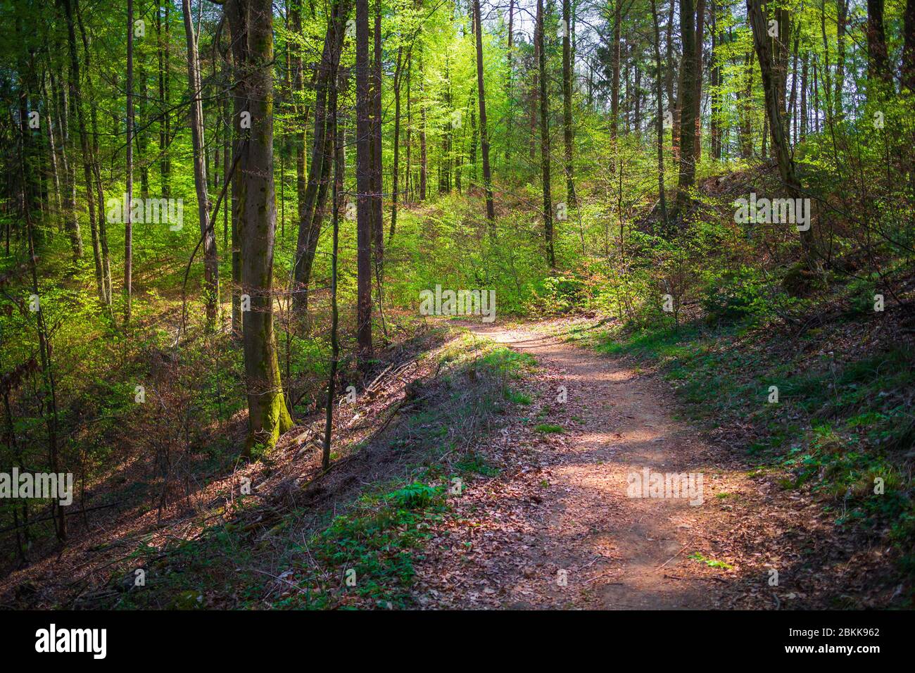 Spring landscape hiking path hi-res stock photography and images - Alamy