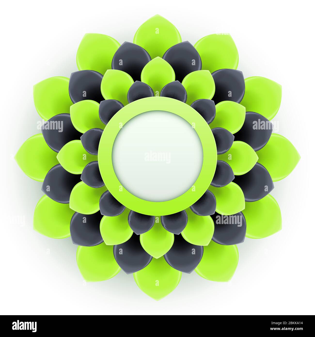 White lotus green flower Stock Vector Images - Alamy