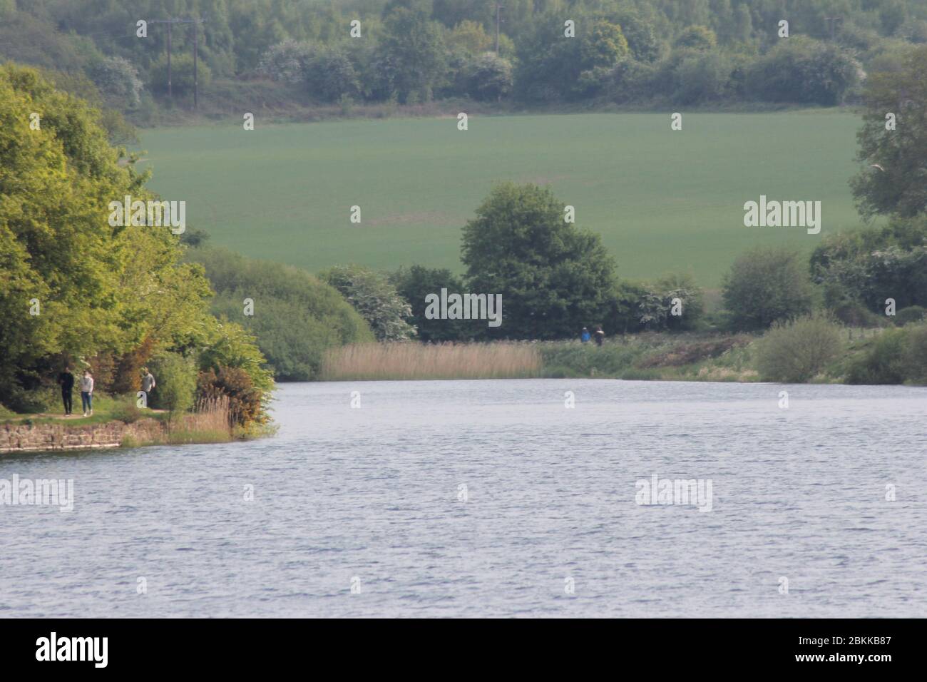 English wilderness hi-res stock photography and images - Alamy