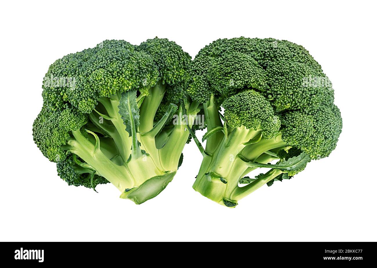 Broccoli isolated on white background Stock Photo - Alamy