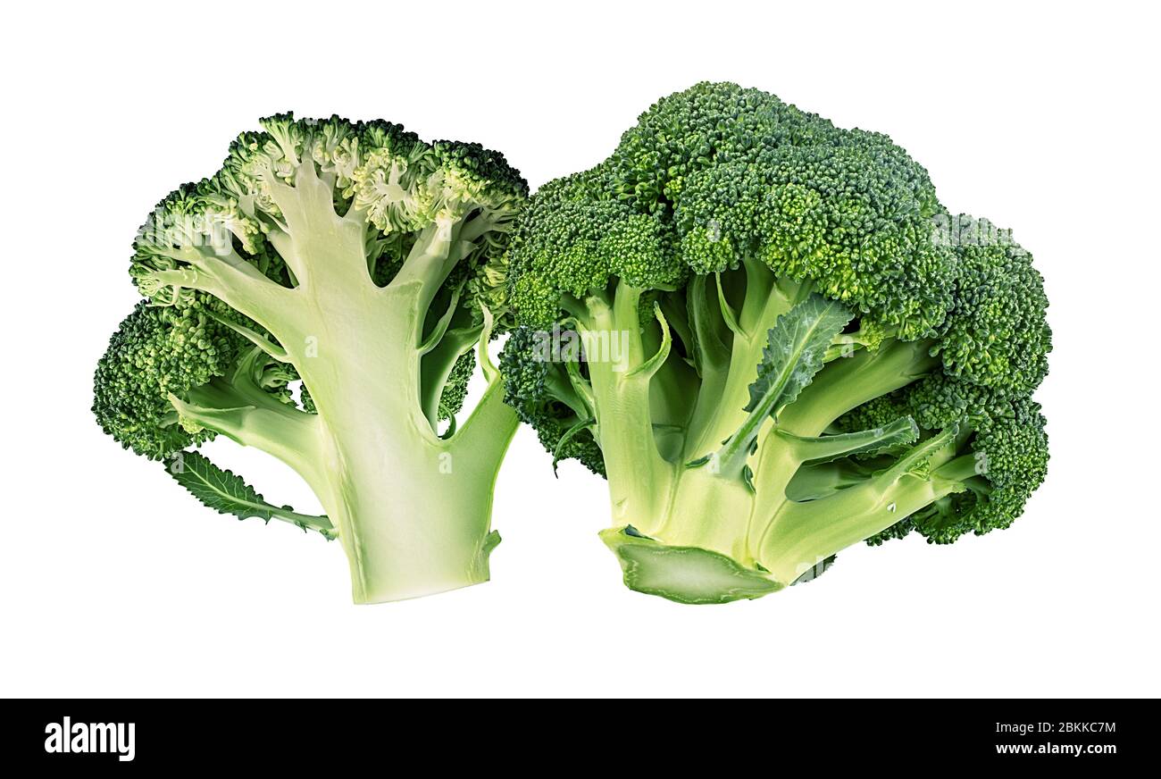 Broccoli isolated on white background Stock Photo - Alamy