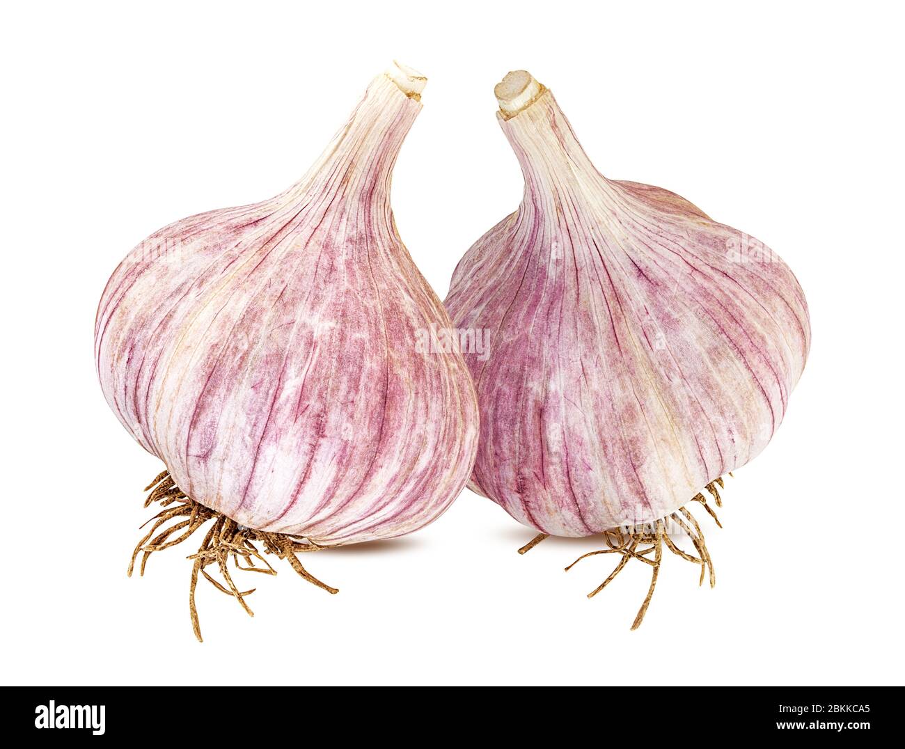 garlic isolated on white background Stock Photo - Alamy