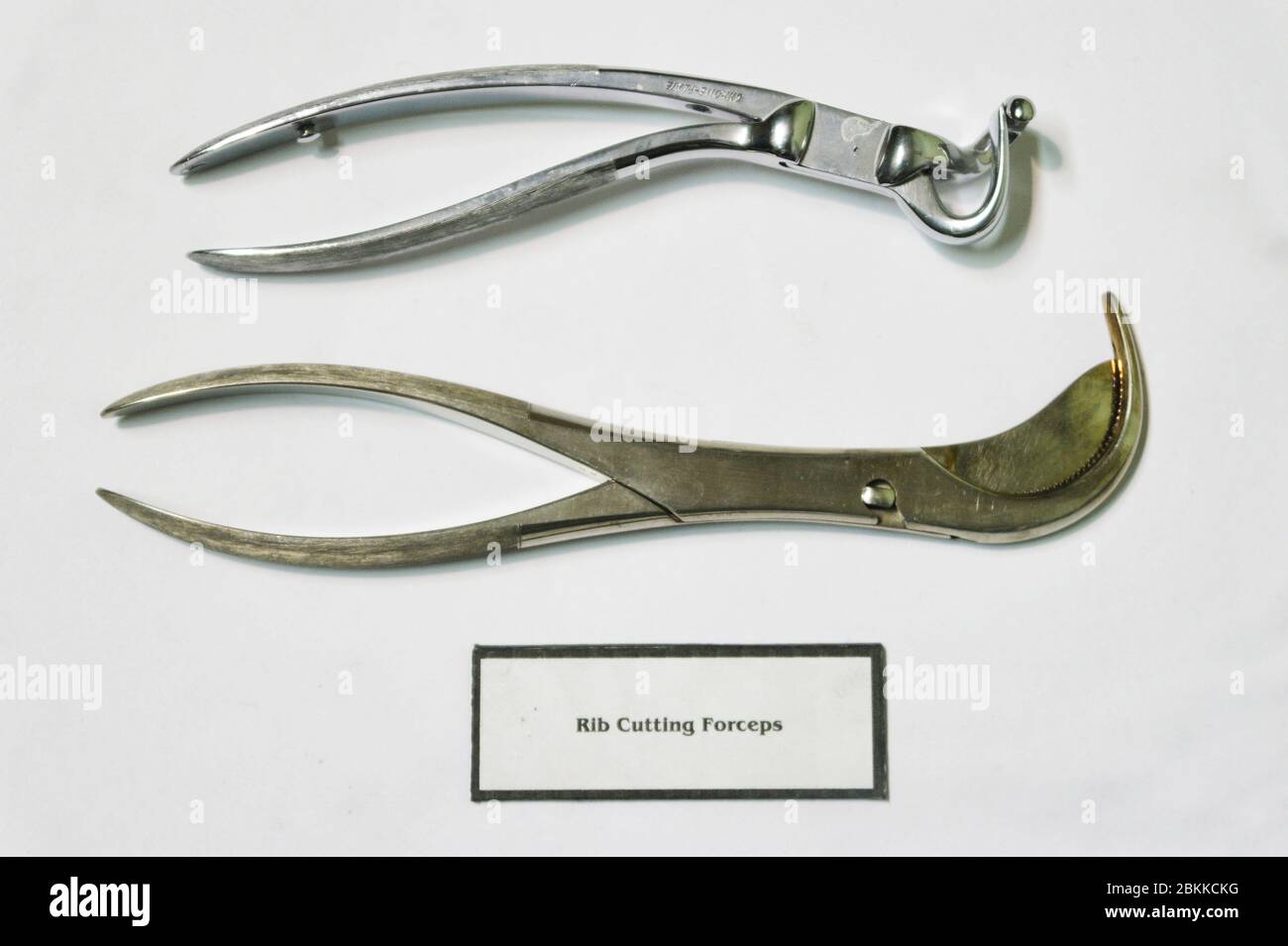 A vintage pair of Rib Cutting forceps, used in orthopaedic surgeries ...