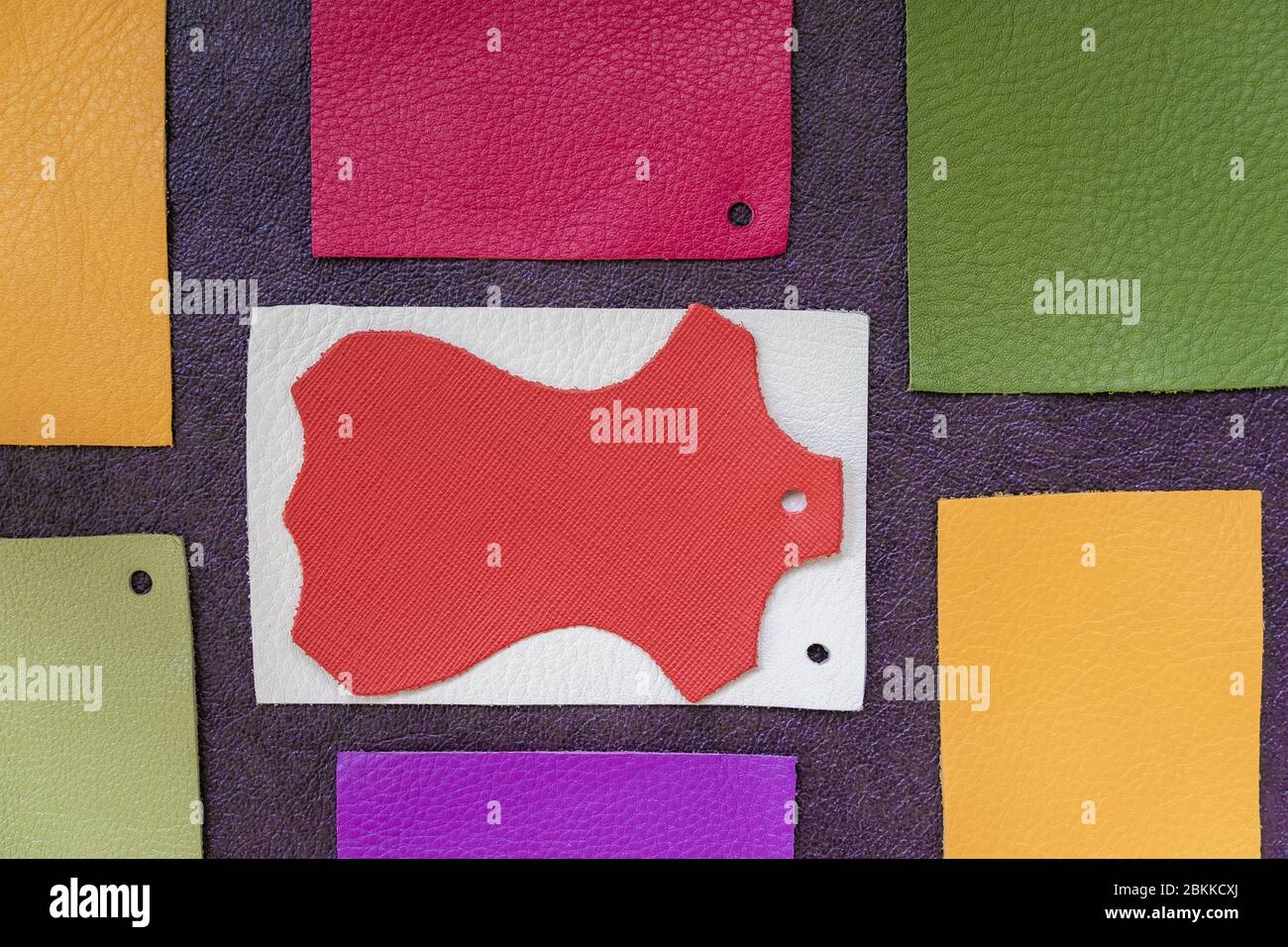 Bright colorful genuine leather pattern palette, texture samples ...