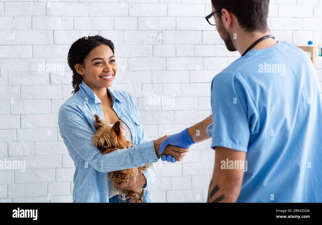 African American client with dog shaking vet doctor's hand in animal ...