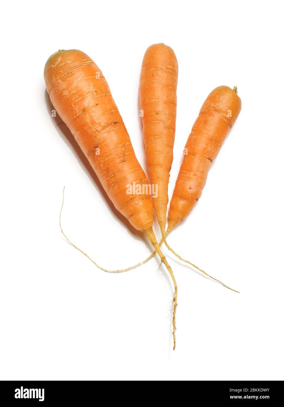 Three fresh organic carrots isolated on the white background Stock ...