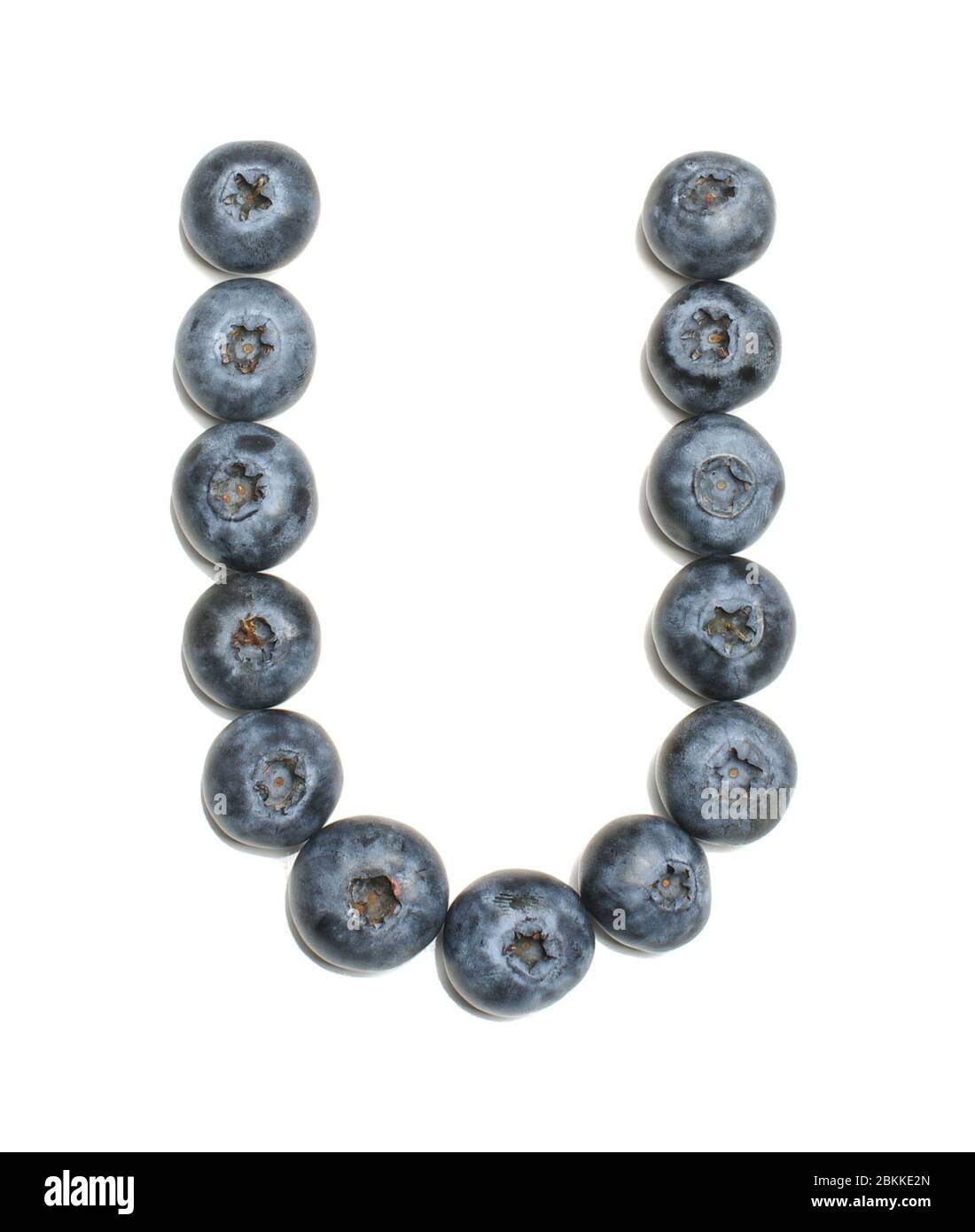 Alphabet letter u arranged from northern highbush blueberry isolated on ...