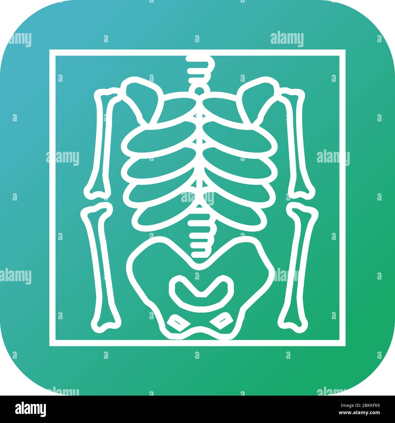 Beautiful skeleton vector line icon hi-res stock photography and images ...