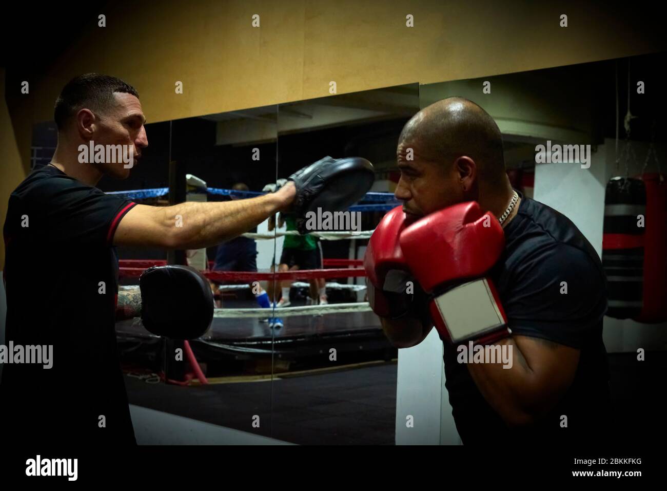 Two determined caucasian male athletes hi-res stock photography and ...