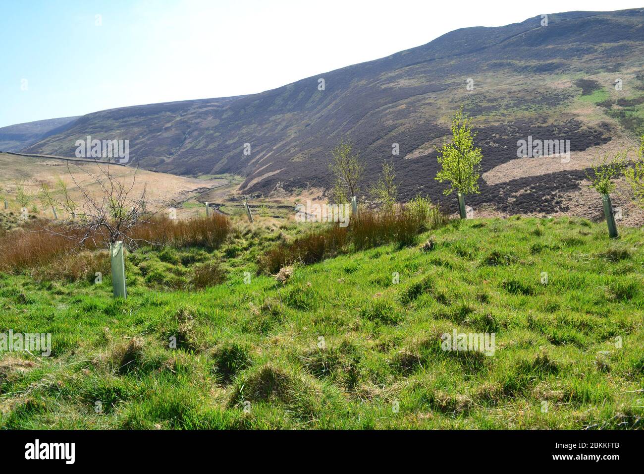 A Walk in the High Peak Stock Photo - Alamy