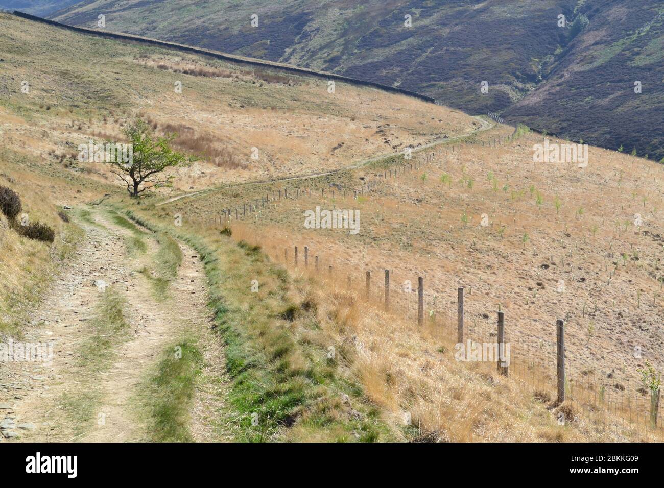 A Walk in the High Peak Stock Photo - Alamy