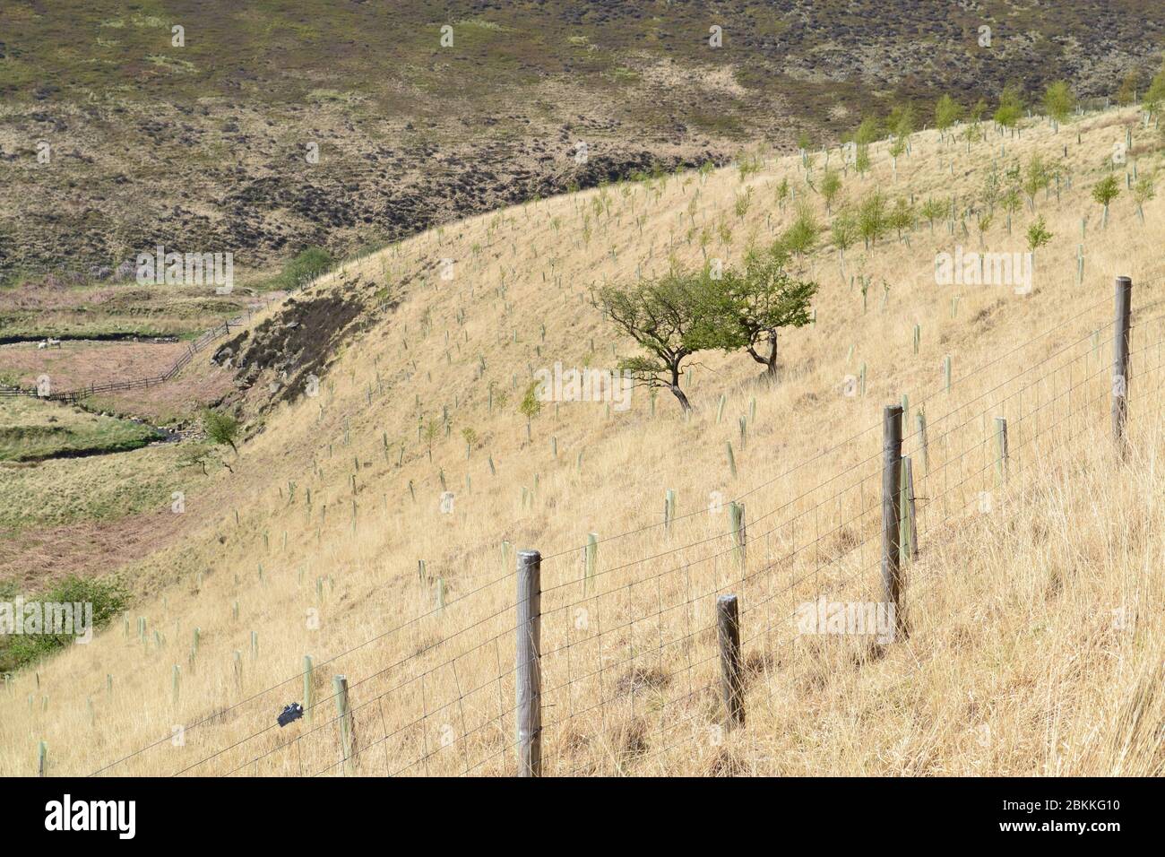 A Walk in the High Peak Stock Photo - Alamy