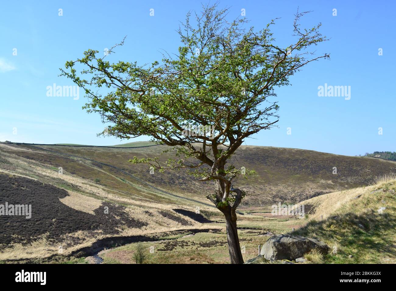 A Walk in the High Peak Stock Photo - Alamy