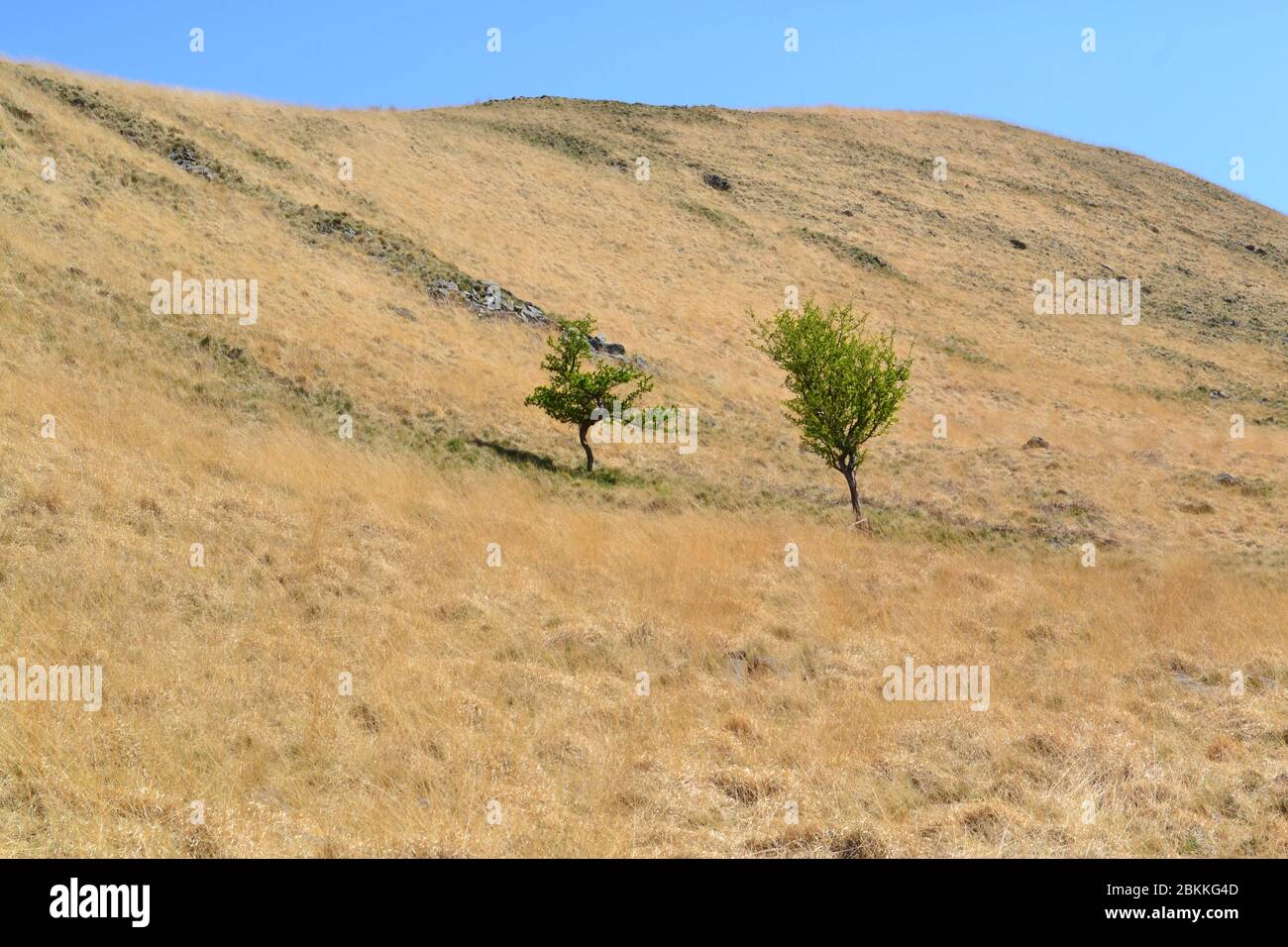 A Walk in the High Peak Stock Photo - Alamy