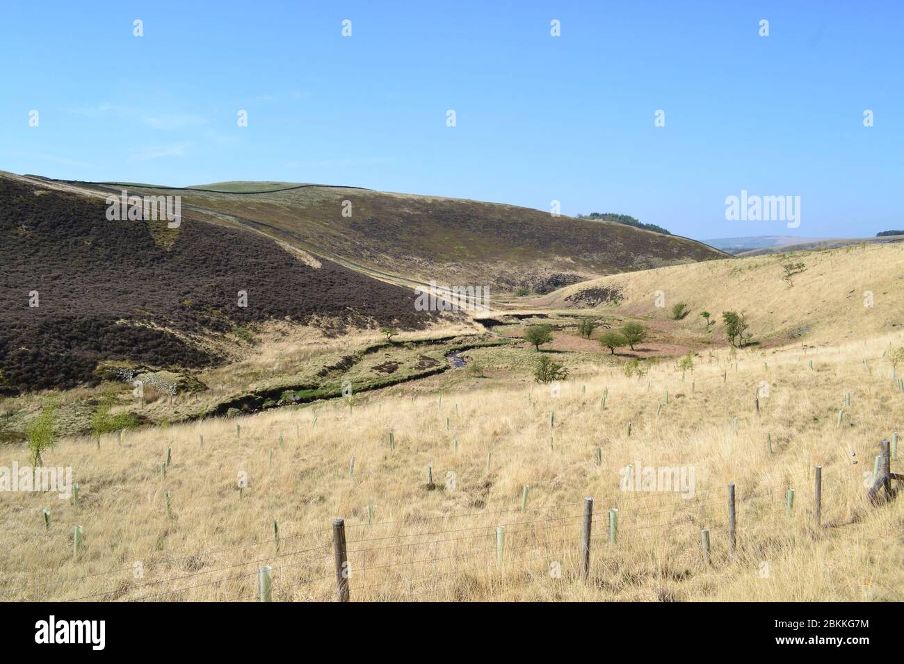 A Walk in the High Peak Stock Photo - Alamy